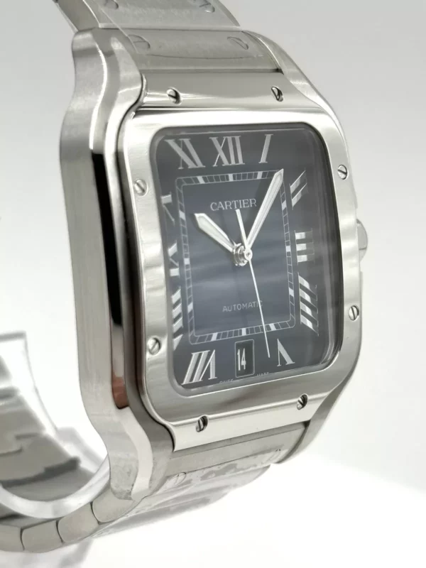 Cartier Santos WSSA0071 - Watch Limit