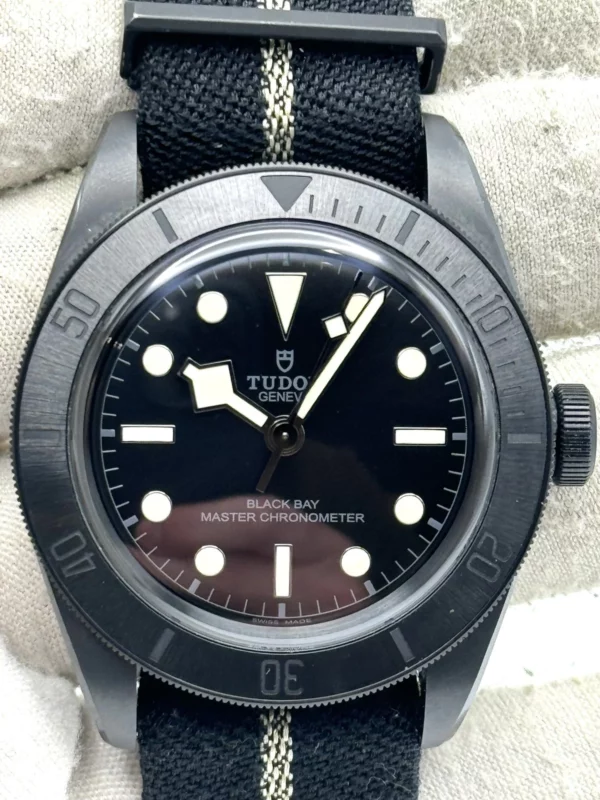 Tudor Black Bay Ceramic 79210CNU - Watch Limit