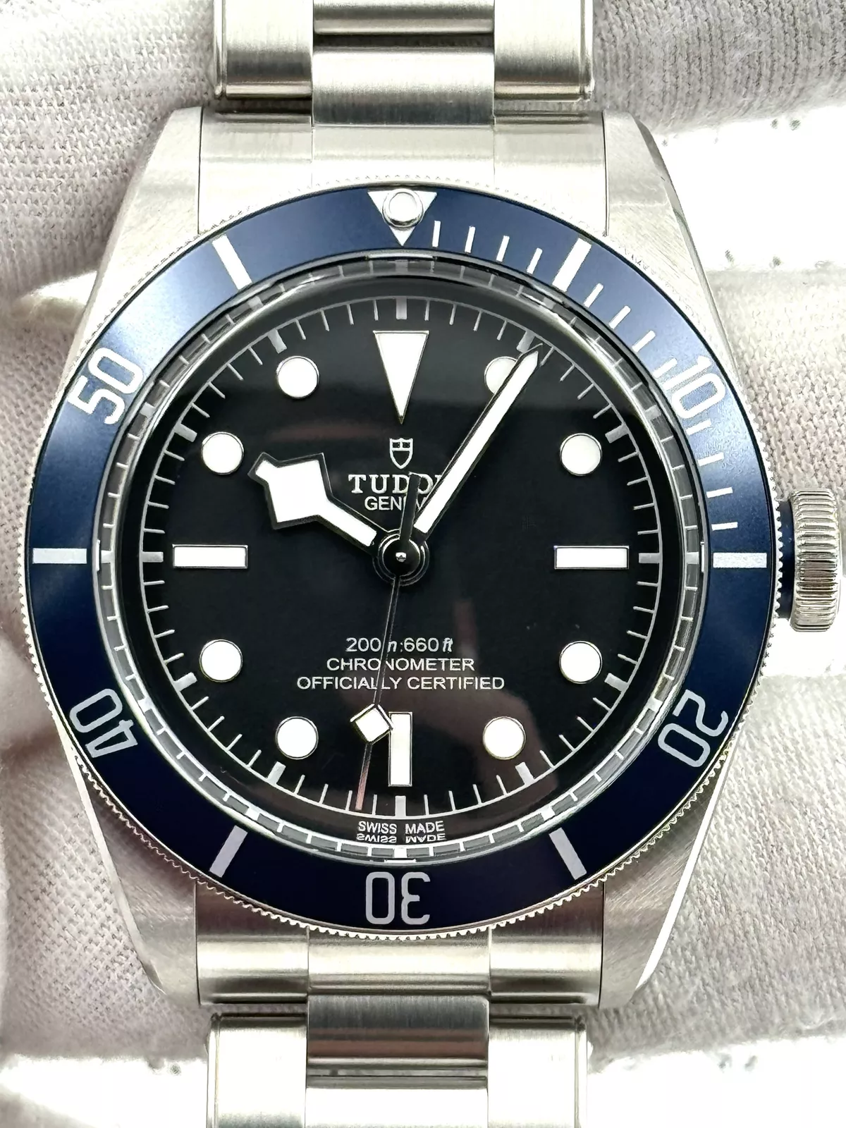 Tudor Black Bay Heritage 79230B - Watch Limit