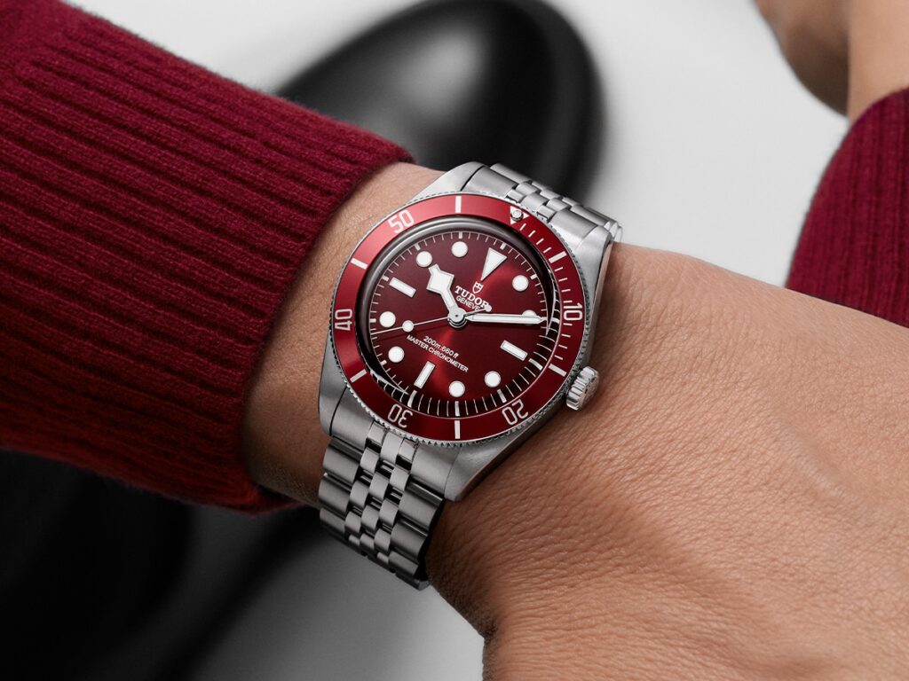 Complete Guide to New Tudor Watches Released at Watches and Wonders ...